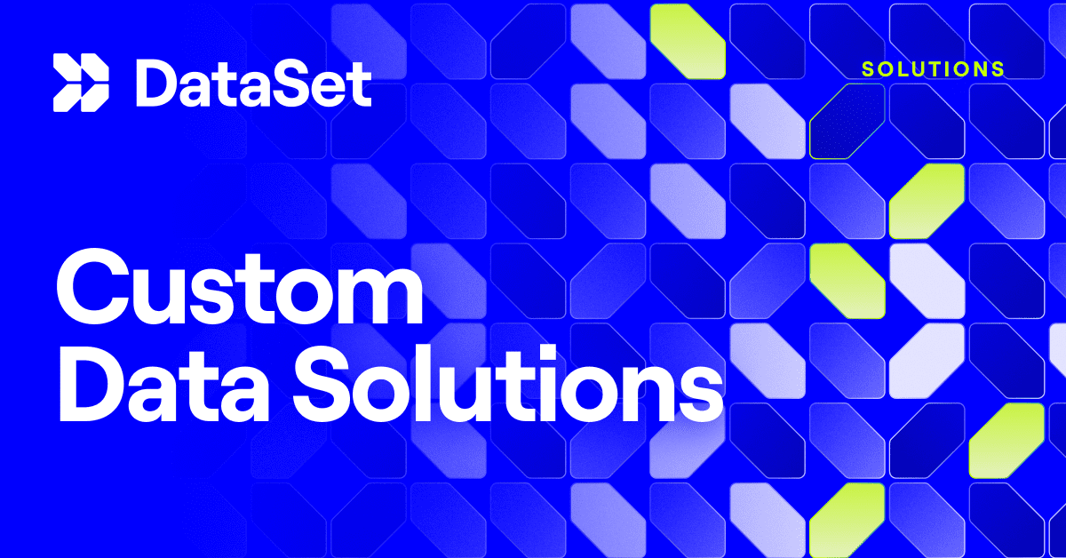 custom-data-solutions-dataset